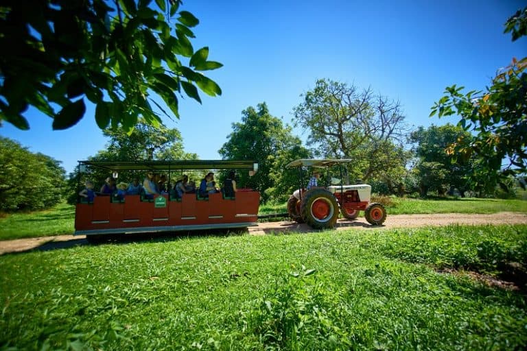 Summerland House Farm - PRIMEX - Australia’s Sustainable Farming and ...