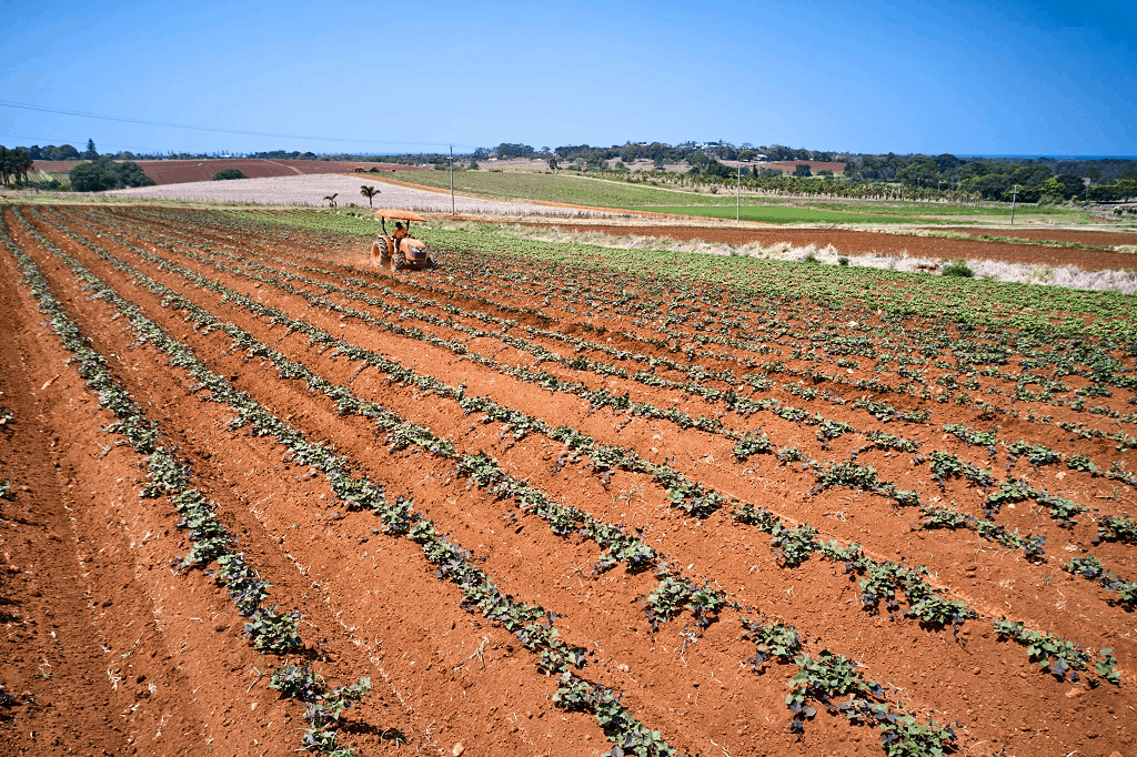 NextGen Program At Norco PRIMEX - PRIMEX - Australia’s Sustainable ...