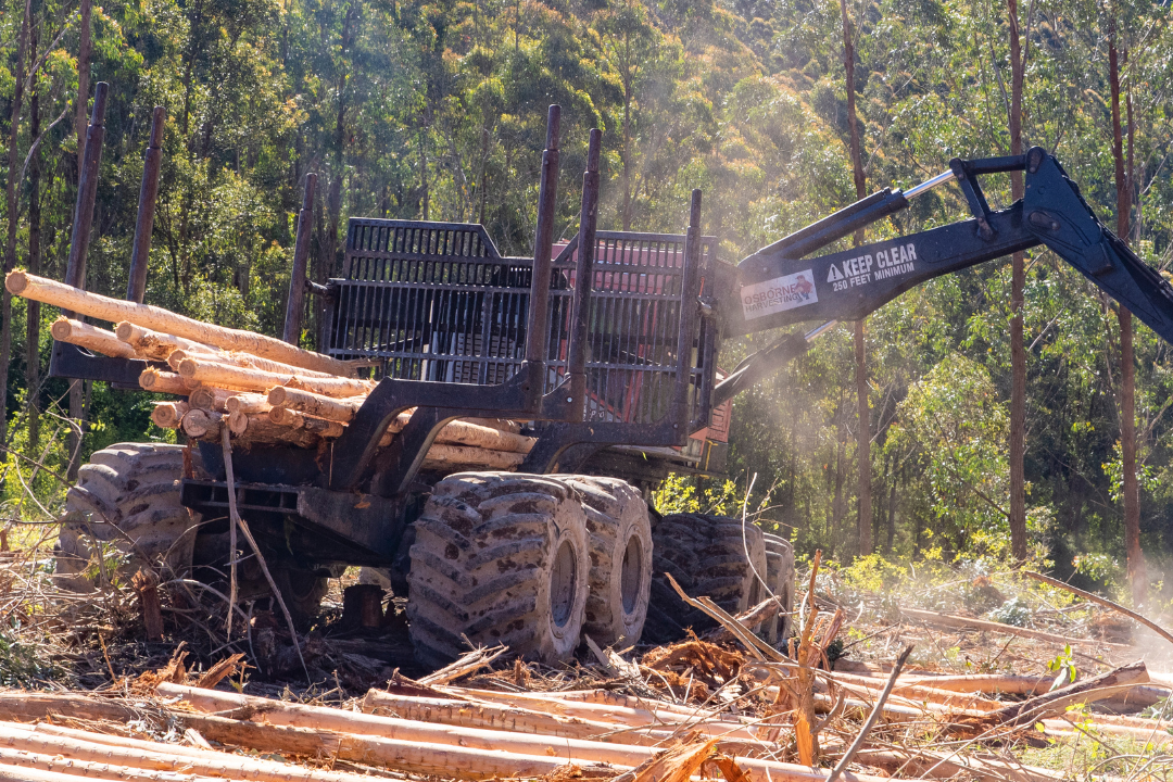Forestry & Timber - PRIMEX - Australia’s Sustainable Farming and ...