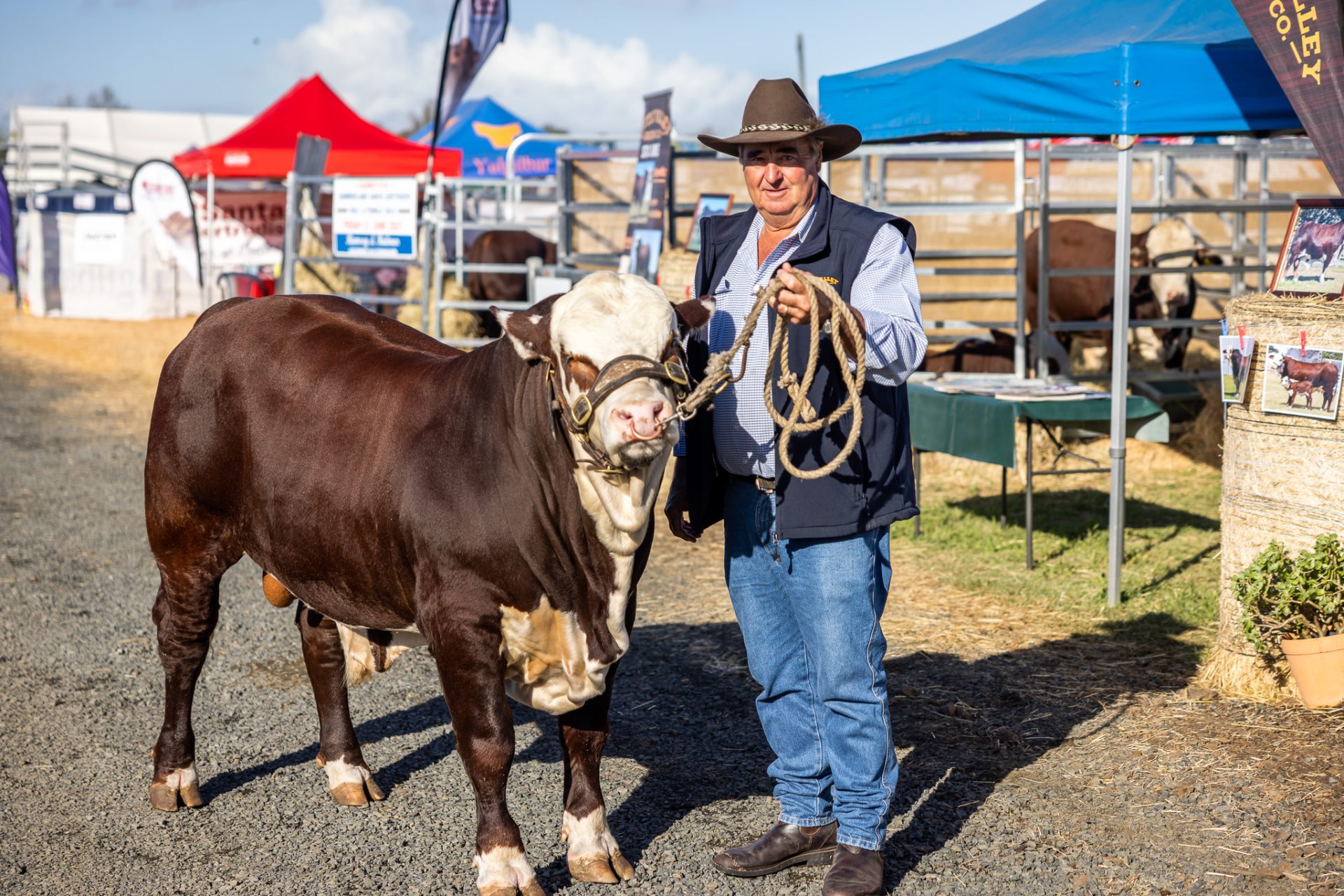 Tickets On Sale Now - 40th Anniversary Primex in 2024 - PRIMEX ...